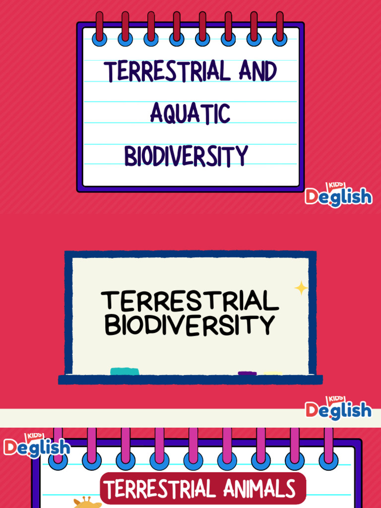Terrestrial and Aquatic Biodiversity (4-6) | PDF