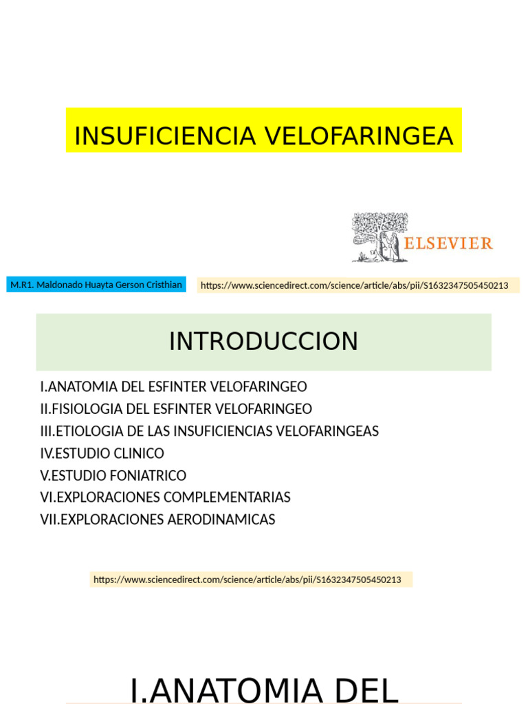 Insuficiencia Velofaríngea: Análisis | PDF | Anatomía de los primates ...