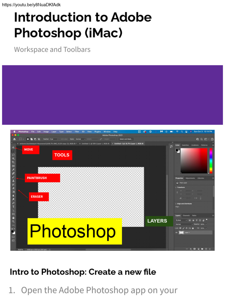 Introduction to Adobe Photoshop | PDF | Adobe Photoshop | Hamburgers