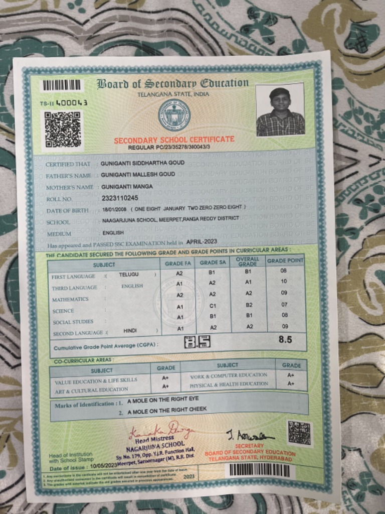 Class X Certificate | PDF