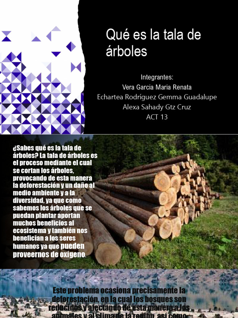 Qué Es La Tala de Árboles | PDF