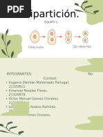 Fases y tipos de fisión binaria | PDF | Biología Celular) | Microorganismo