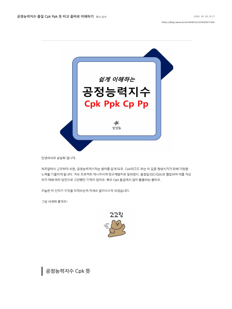 공정능력지수 품질 Cpk Ppk 뜻 비교 올바로 이해하기 | PDF