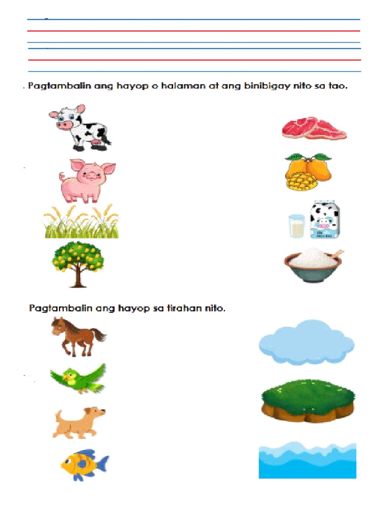 Kindergarten 2024 2025b | PDF