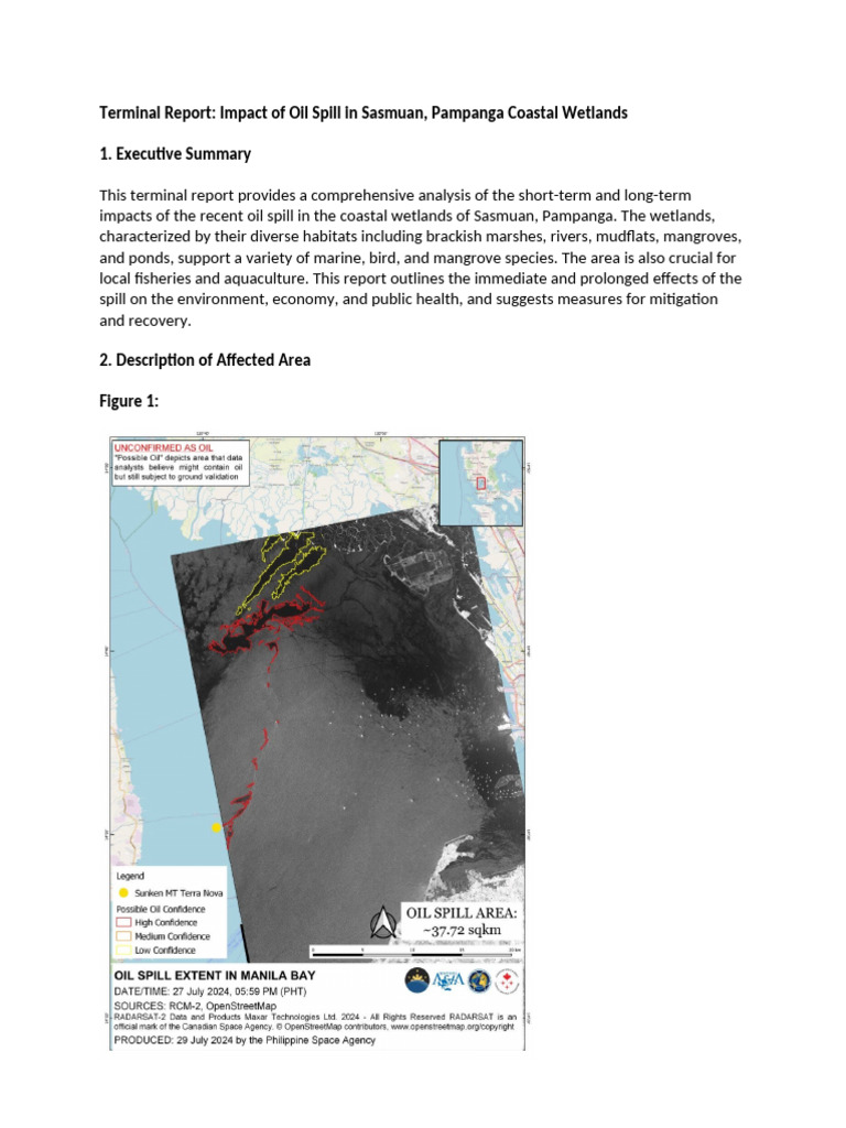 Terminal Report Oil Spill Manila Bay | PDF | Wetland | Oil Spill