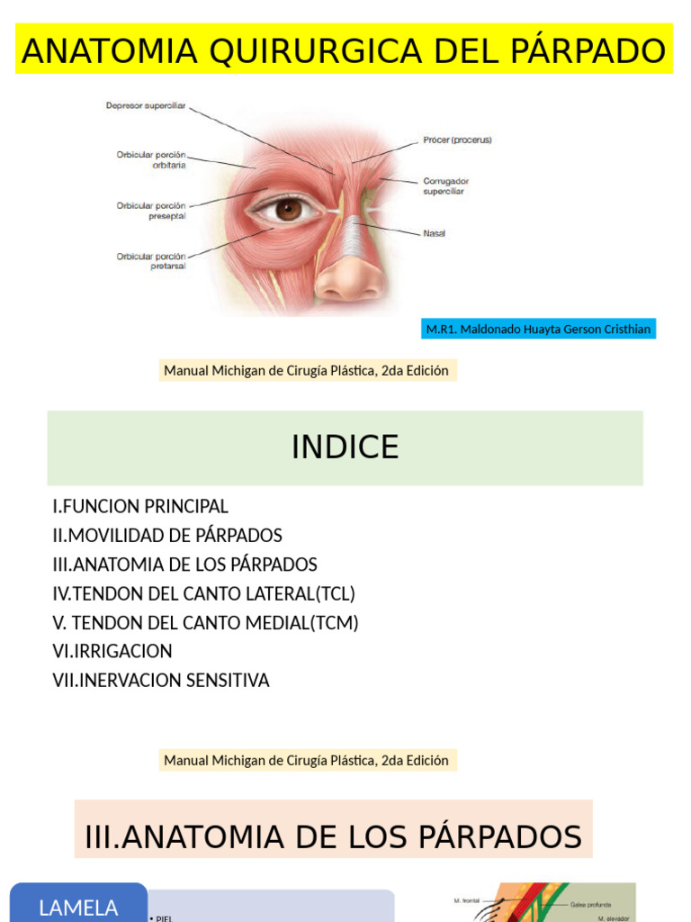 Anatomía Quirúrgica del Párpado | PDF