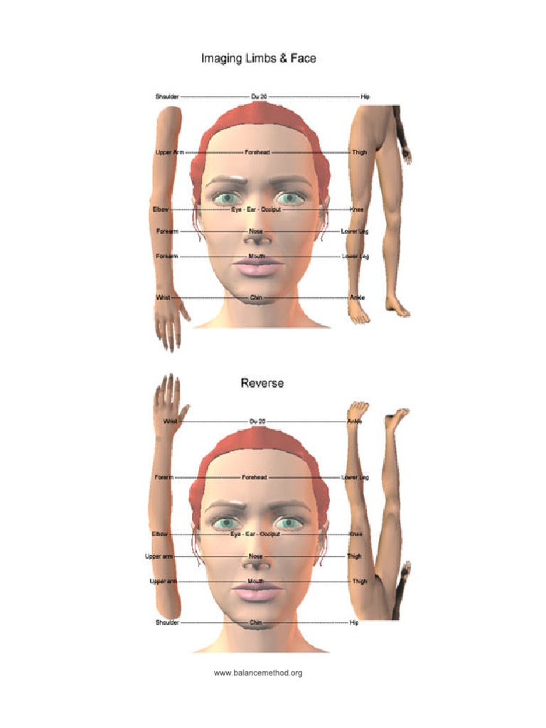 Balance Method Acupuncture Symdrome Image Head - On - Limbs | PDF