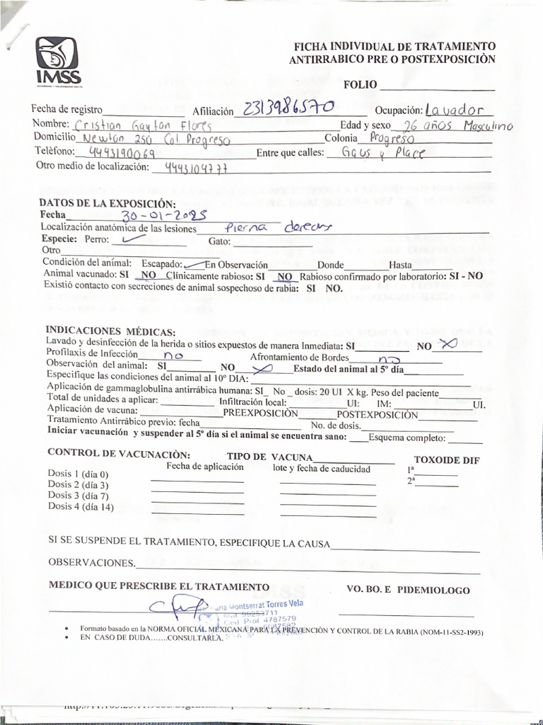 IMSS | PDF