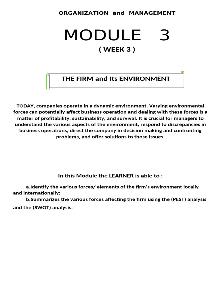 2022-module-3-ORG. | PDF | Swot Analysis | Competition