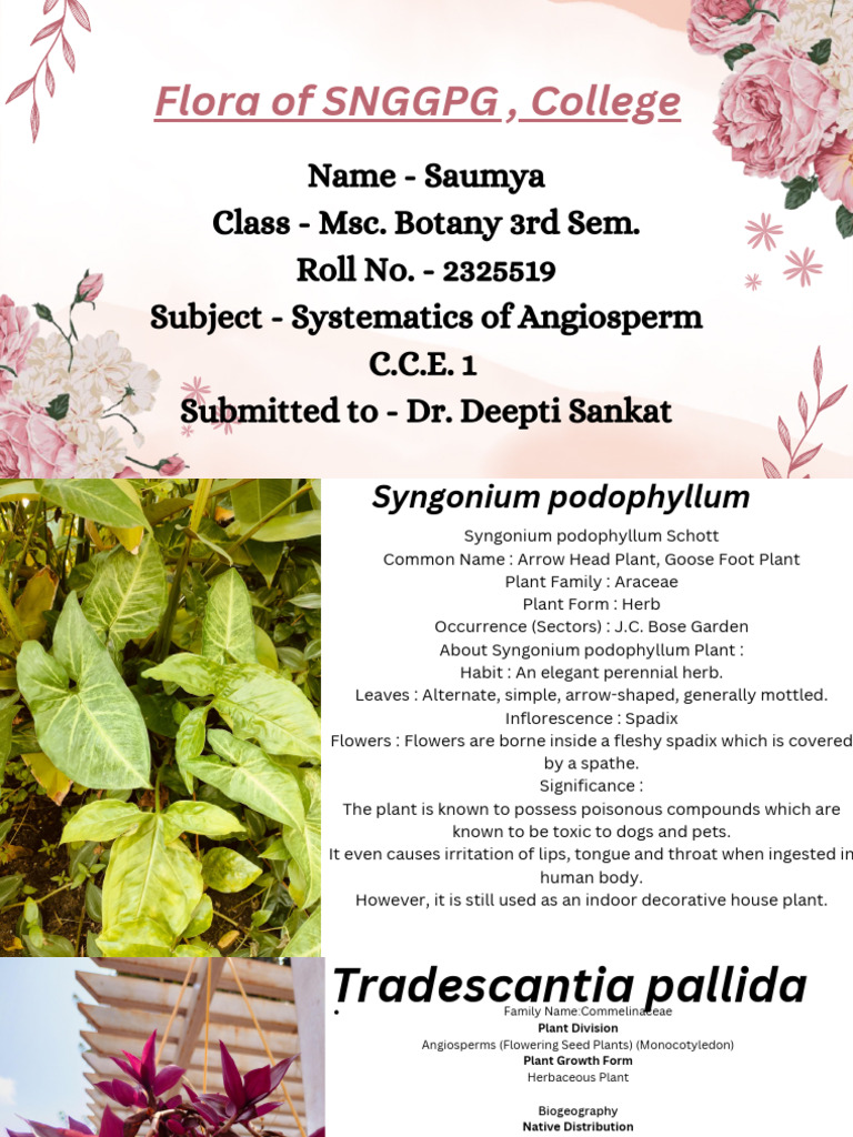 Saumya CCE 1 Presentation - Msc. Botany Sem 3 - 20241122 - 120354 - 0000 | PDF | Leaf | Flowers