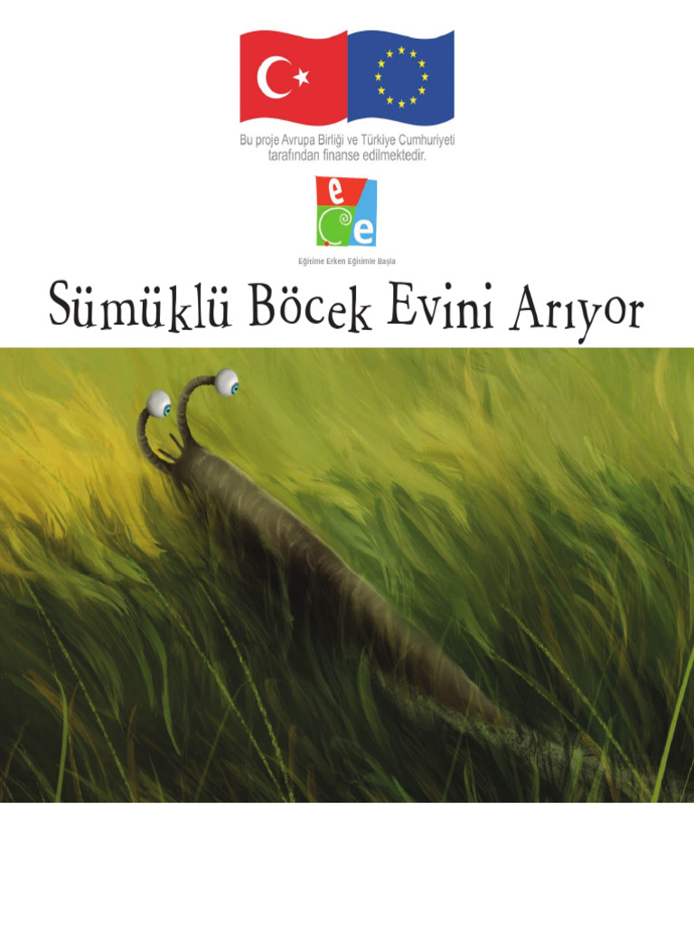 Sumuklu Bocek Evini Ariyor | PDF