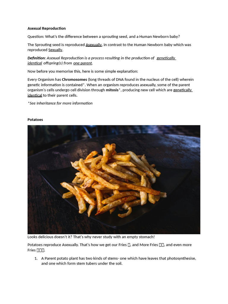 Reproduction in plants | PDF | Sexual Reproduction | Flowers