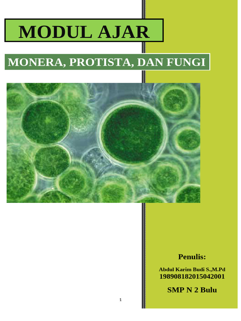 Modul Ajar Monera, Protista, Fungi SMP | PDF