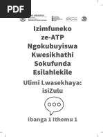 Phonetics in isiZulu: Ongwaqa Explained | PDF | Linguistics | Phonetics