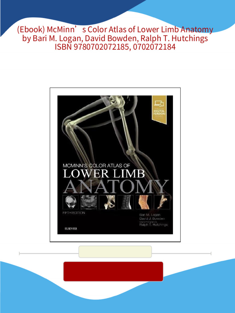 (Ebook) Mcminn'S Color Atlas of Lower Limb Anatomy by Bari M. Logan ...