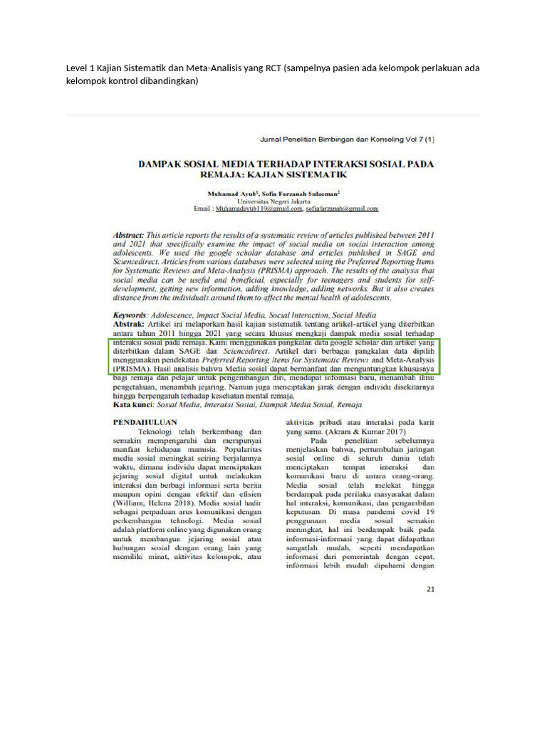 Level 1 Kajian Sistematik Dan Meta | PDF