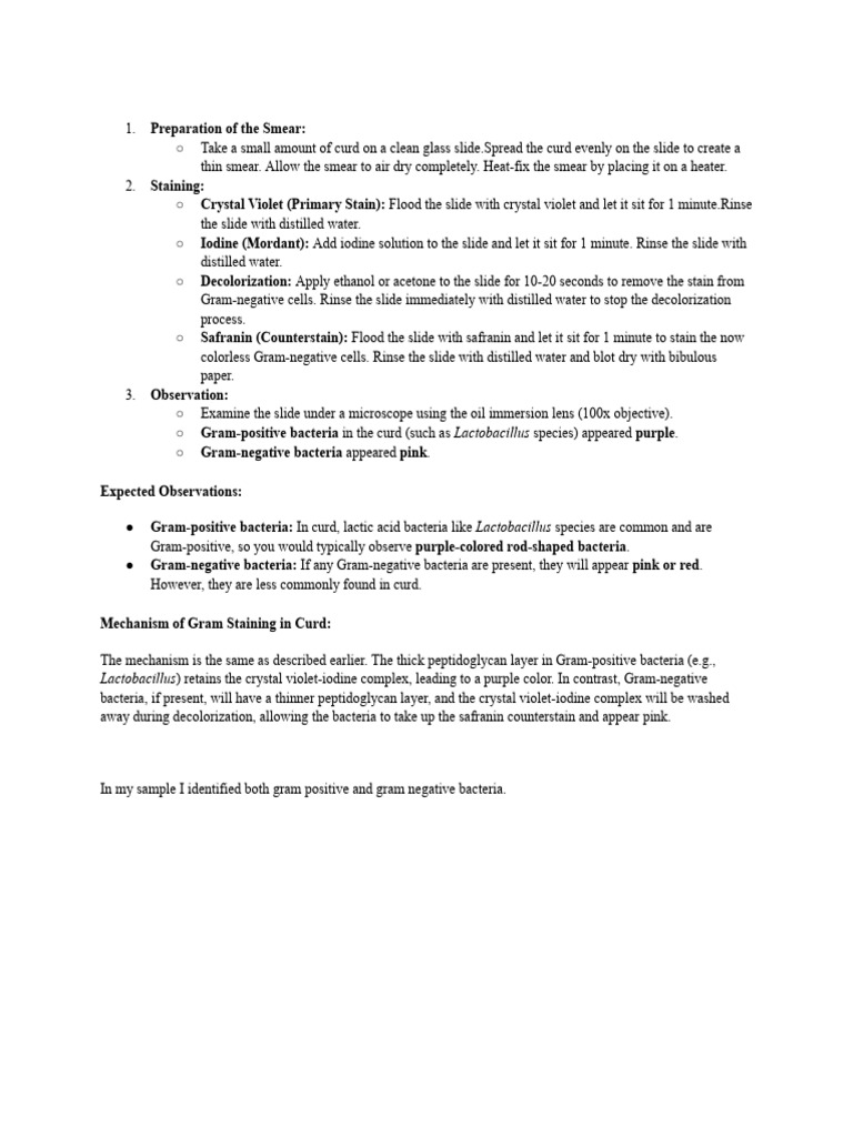Gram Staining of Curd Bacteria | PDF