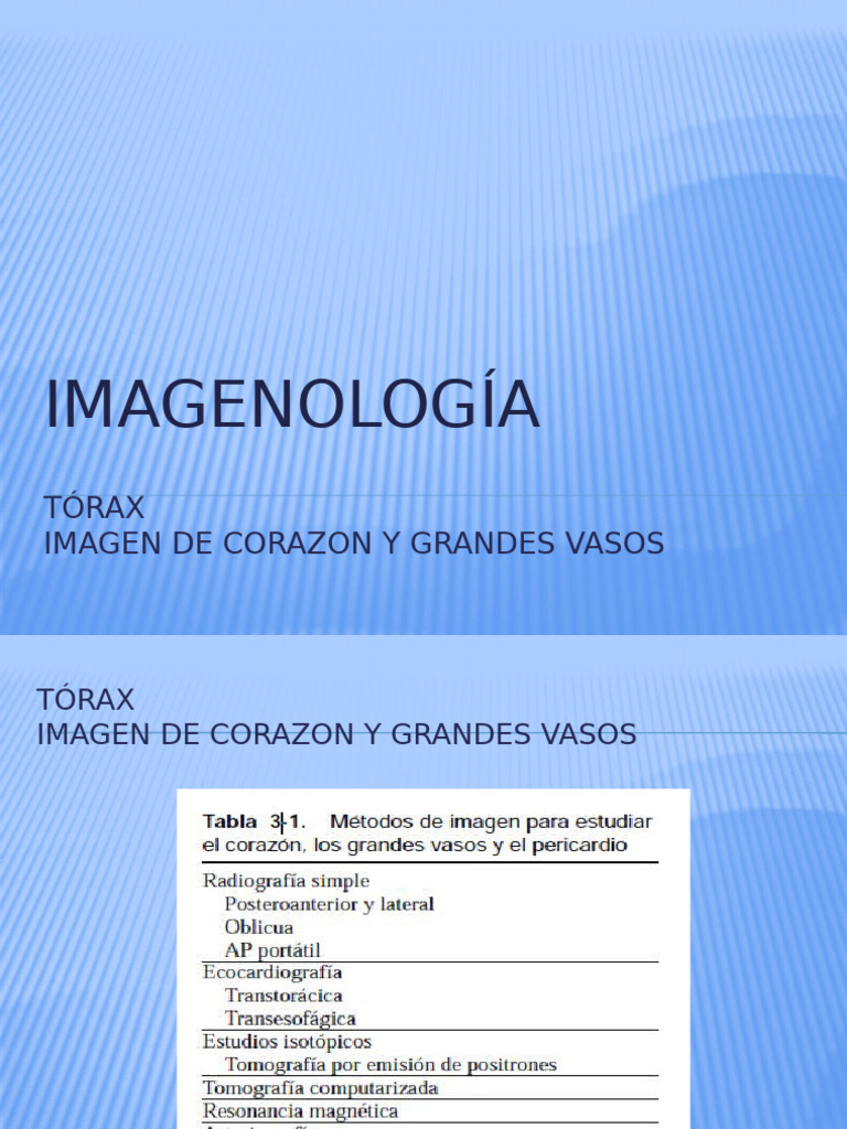 Presentación Rx Tx | PDF | Corazón | Tórax