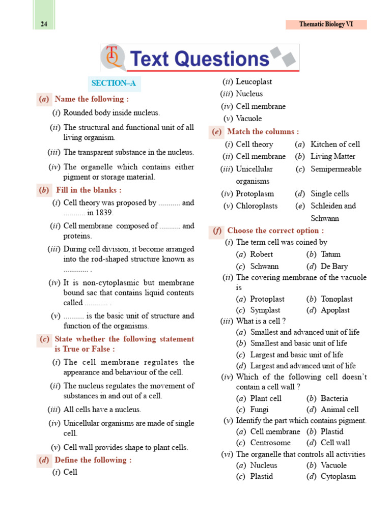 Biology Cell Structure and Functions Quiz | PDF | Cell (Biology) | Vacuole