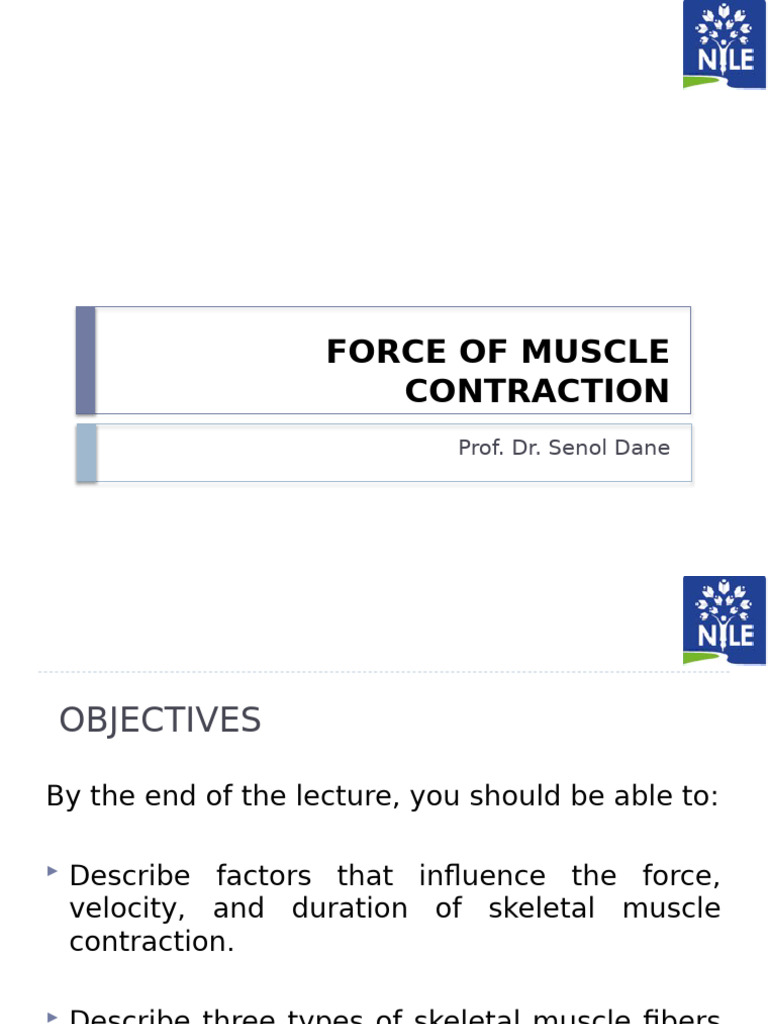 Muscle Contraction: Force and Factors | PDF | Skeletal Muscle | Muscle ...