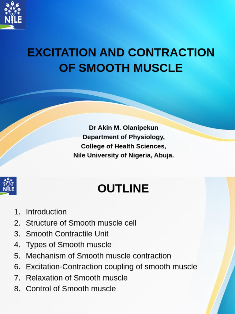 Excitation and Contraction of Smooth Muscle | PDF | Muscle Contraction ...