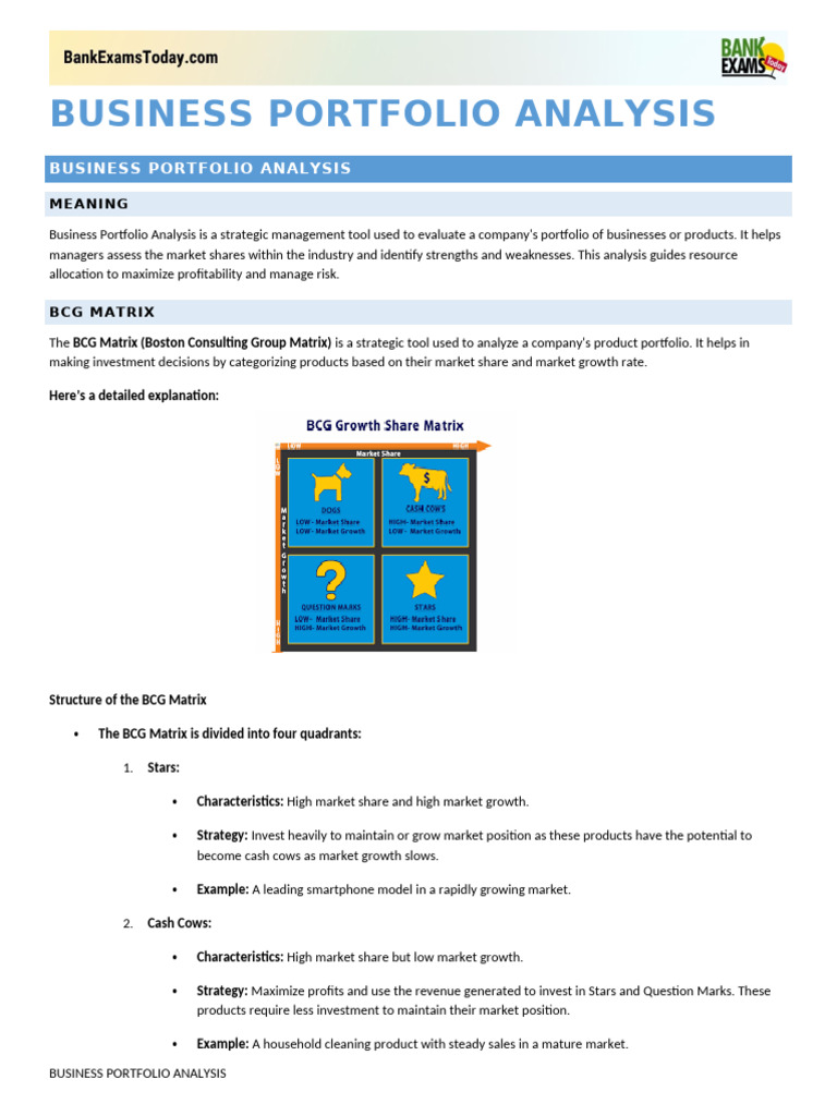 Business Portfolio Analysis | PDF | Economies Of Scale | Financial ...