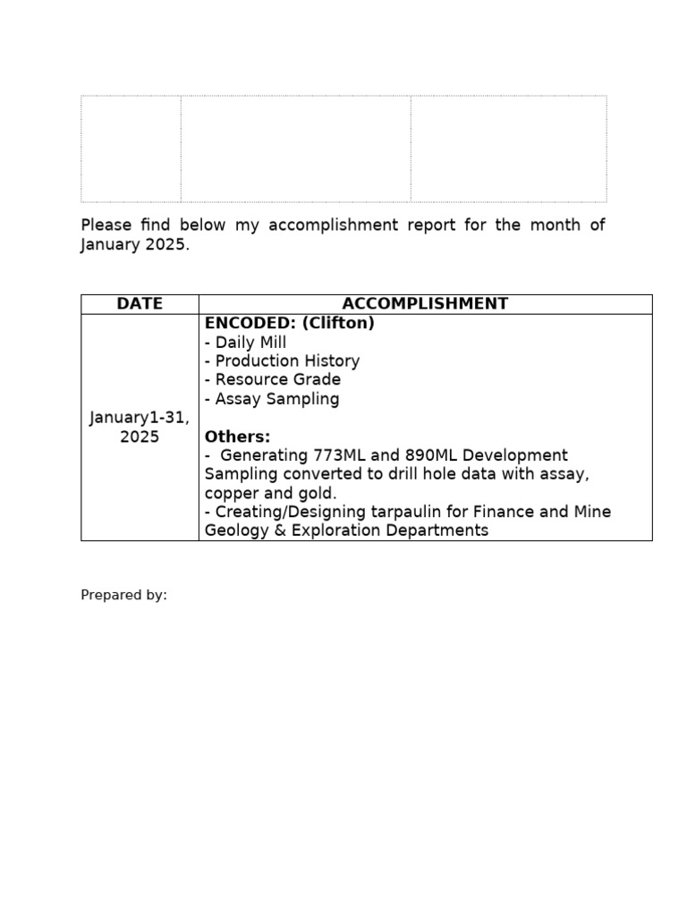 Monthly Report January 2025 | PDF