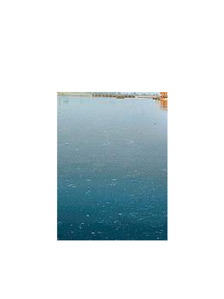 Jijith Nadumuri Ravi - Yamuna - A Study of Its Links From The Sarasvati Findings | PDF | Hindu ...