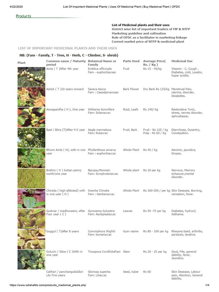 List of Important Medicinal Plants - Uses of Medicinal Plant - Buy ...