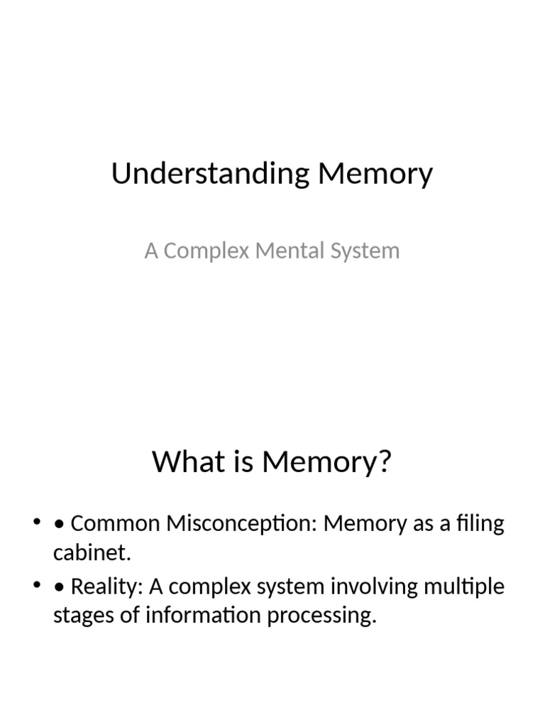 Memory | PDF | Memory | Long Term Memory