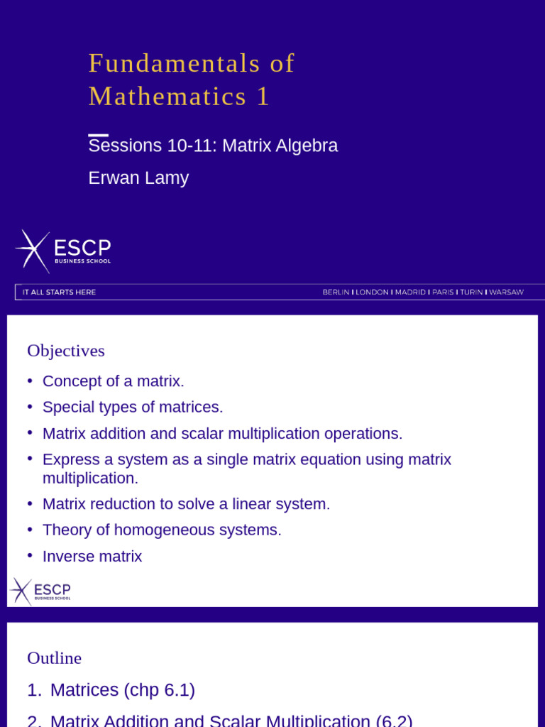 W10-11 - Matrix Algebra | PDF | Matrix (Mathematics) | System Of Linear ...