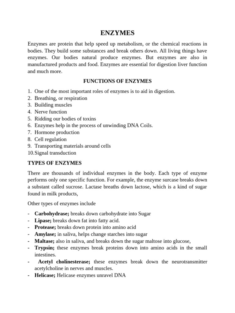 ENZYMES | PDF | Enzyme | Digestion