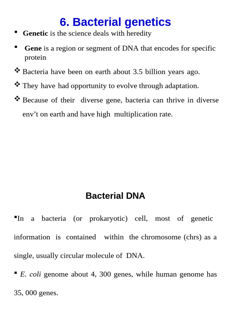 Bacterial Genetic | PDF | Bacteriophage | Plasmid
