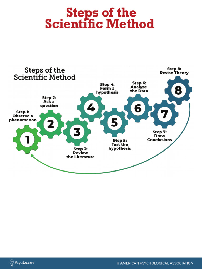 Steps of The Scientific Method | PDF