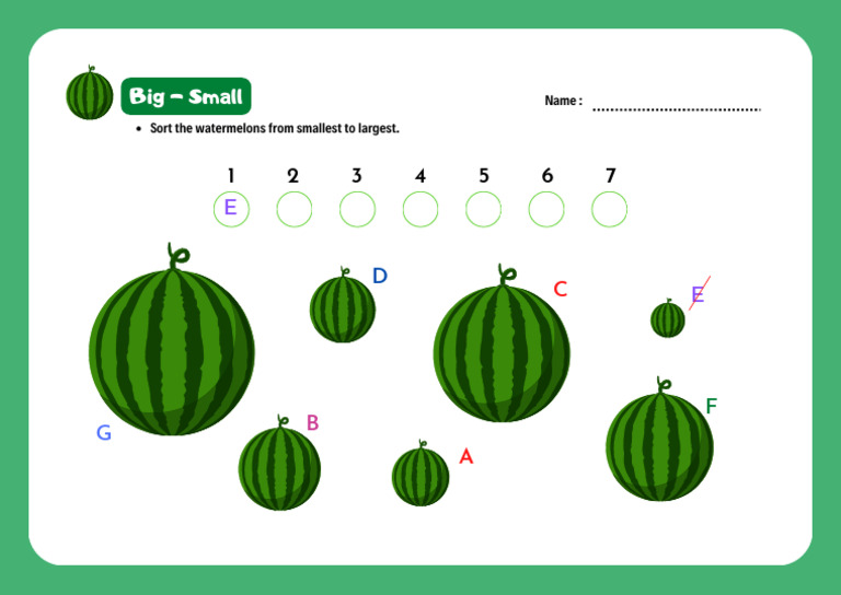 Big Small Activity Worksheet | PDF