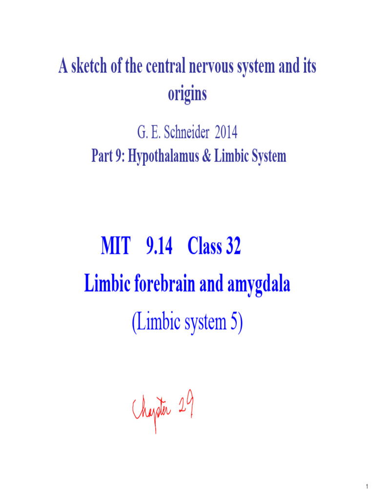MIT9 14S14 Lecture32 | PDF | Amygdala | Limbic System