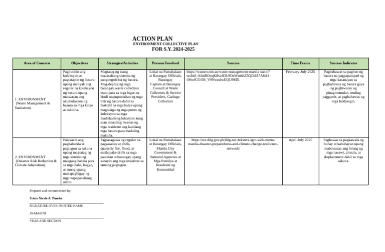 Action Plan Activity | PDF