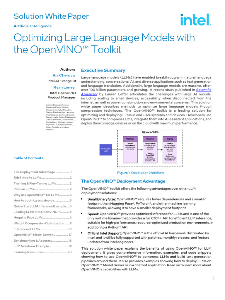 Openvino Toolkit Llms Solution White Paper | PDF | Data Compression | Computing
