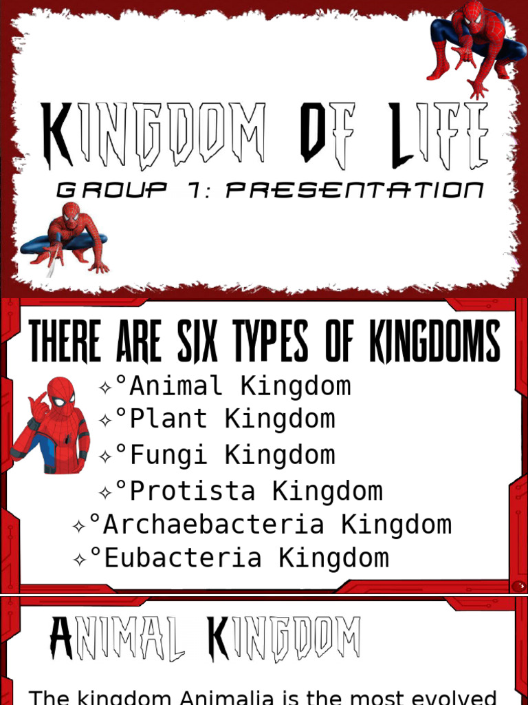 Overview of Biological Kingdoms | PDF