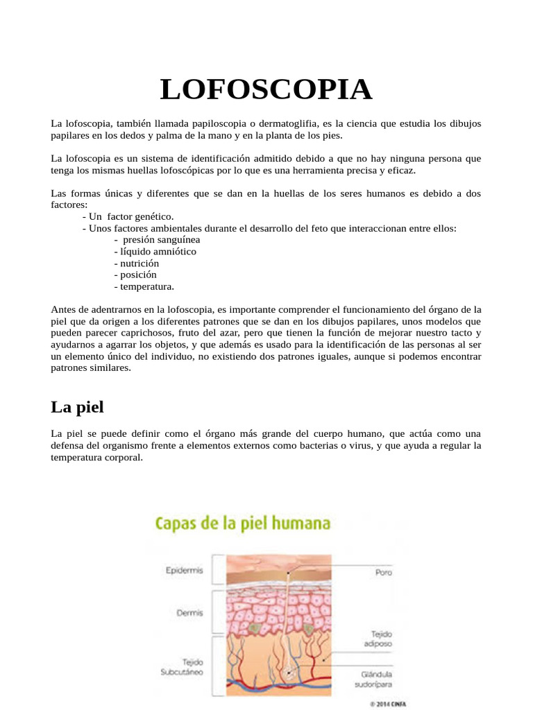 Lofoscopia. Quiroscopia (1) | PDF | Huella dactilar | Piel