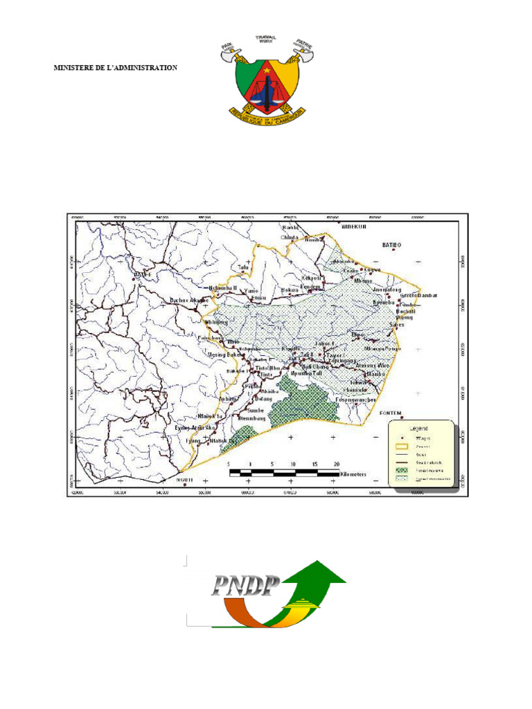 CDP Tinto | PDF | Forests | Rainforest