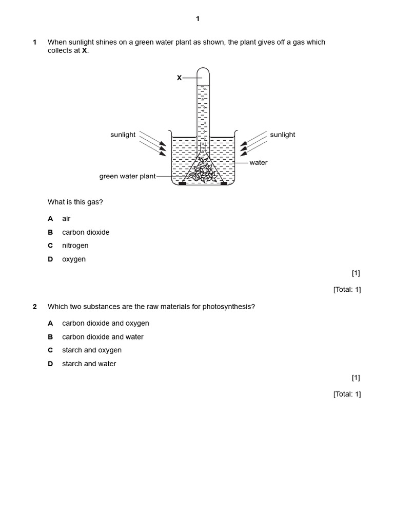 Photosynthesis Process and Effects | PDF | Photosynthesis | Plants