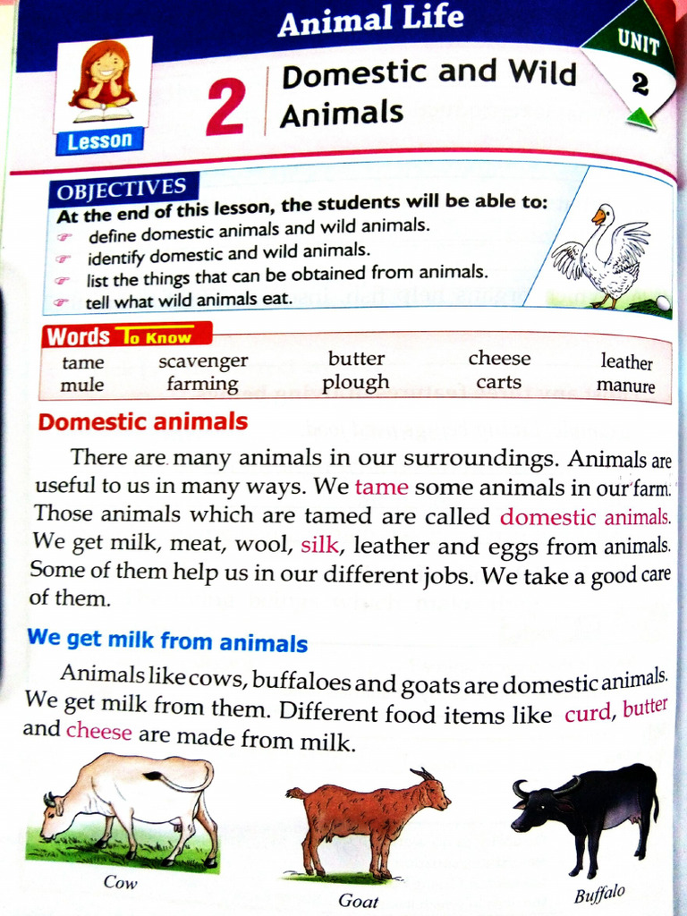 Class 2 Lesson 2 | PDF