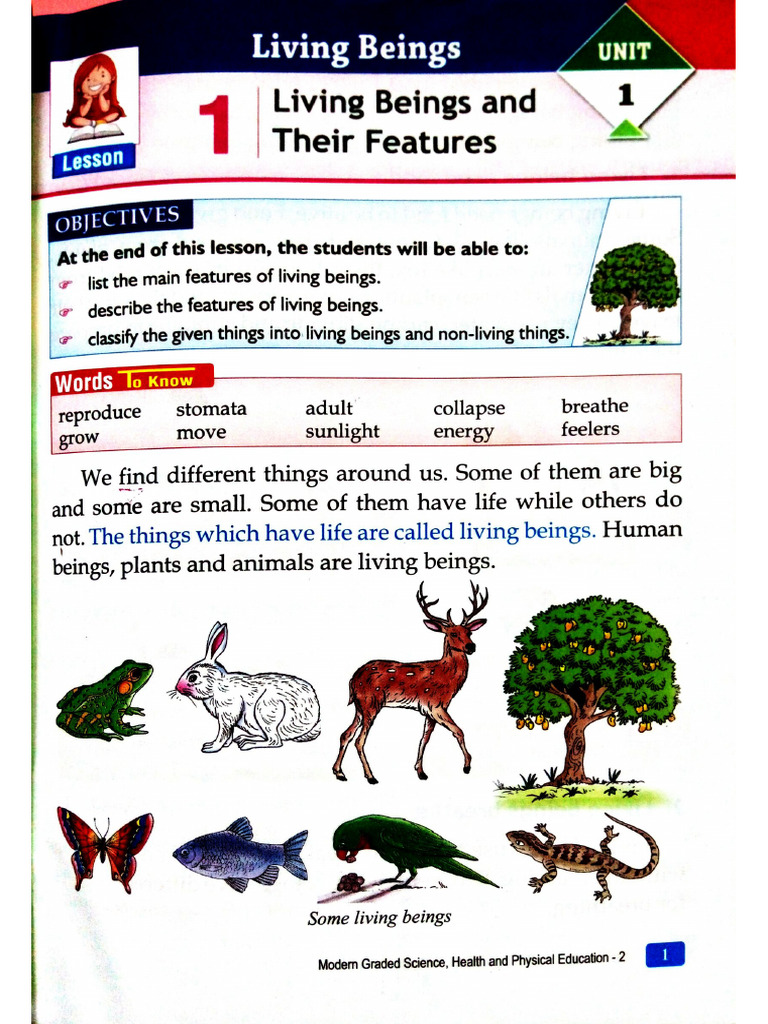 Class 2 Lesson 1 | PDF
