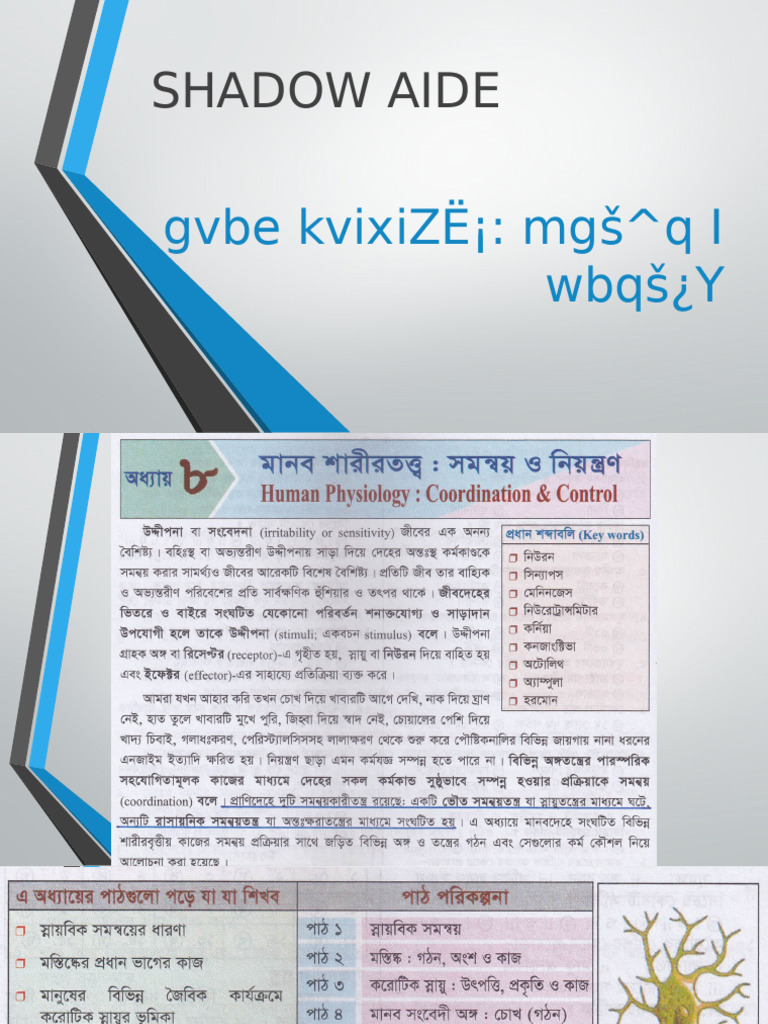 Chapter 08 Manob Sharirtotto Samonnoi o Niontron | PDF