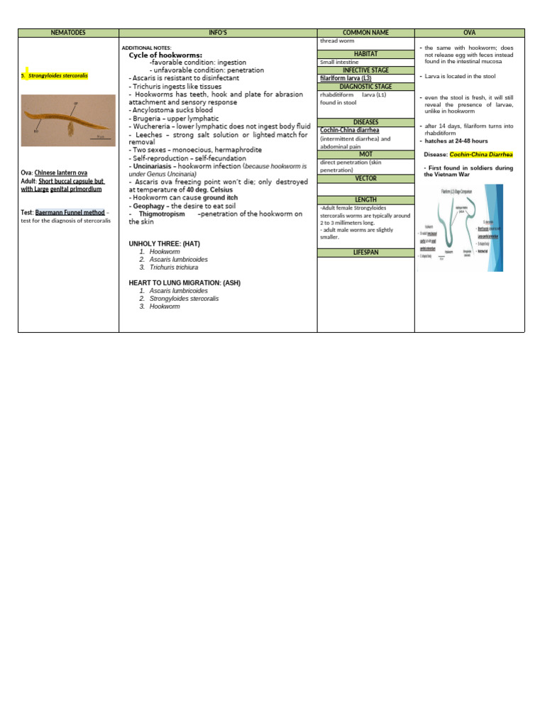 Strongyloides Stercoralis | PDF | Parasitology | Animals And Humans