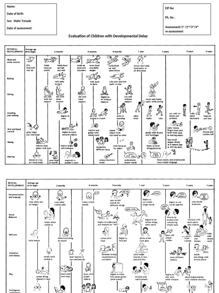Assessment of Child - For Early Intervention | PDF