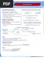 Cockroach Ncert | PDF