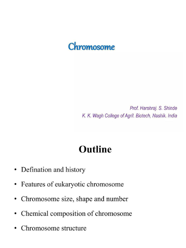 Chromosome | PDF
