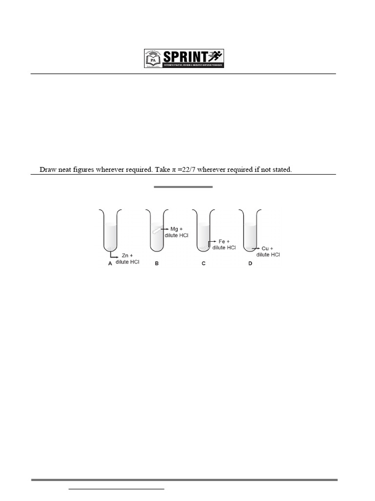 Class X Science Sample Paper 2025 | PDF | Reproduction | Adenosine ...